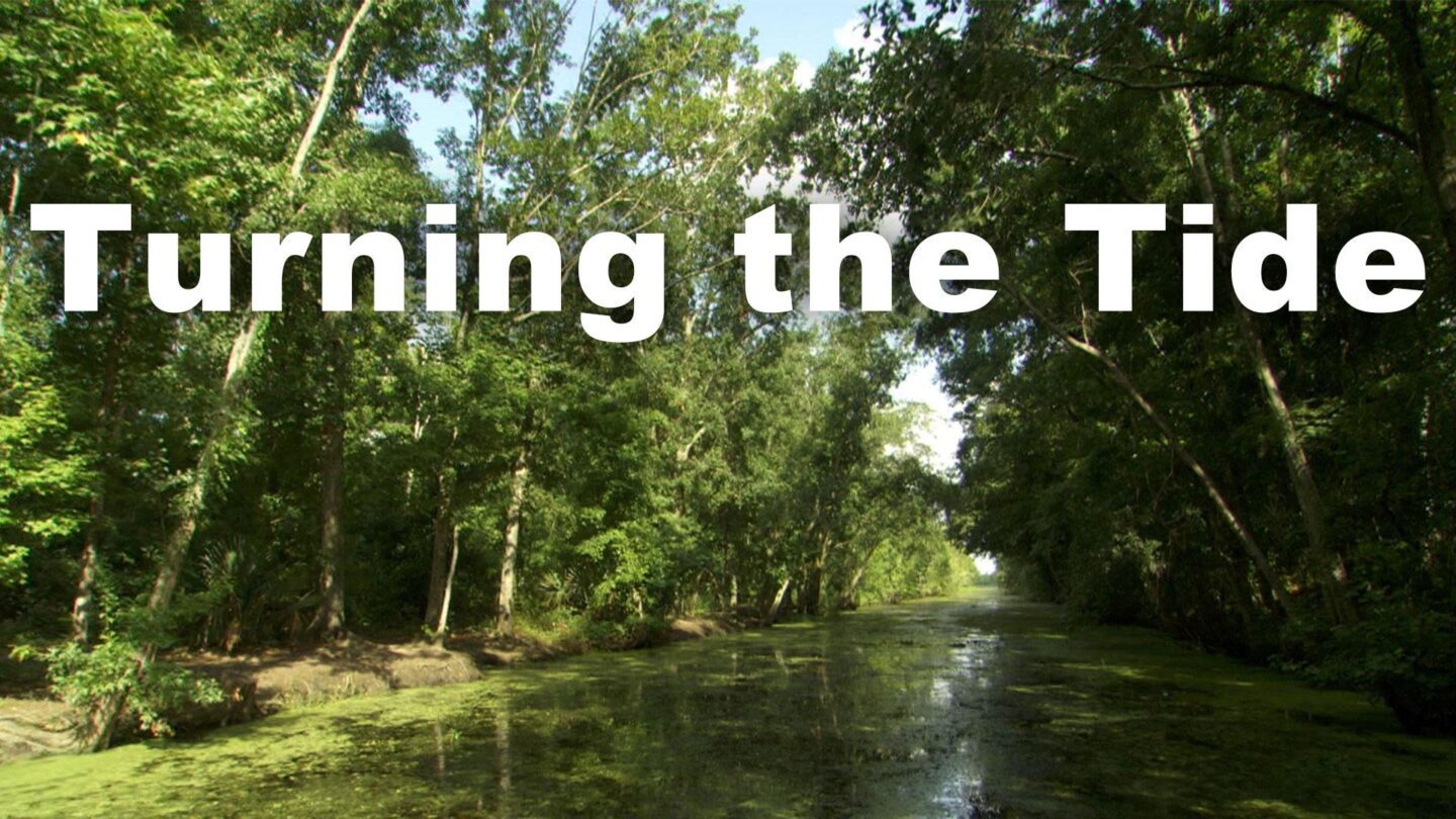 Turning the Tide – WABE